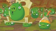 Corporal Pig | Angry Birds Wiki | Fandom