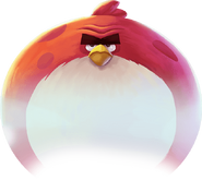 Terence | Angry Birds Wiki | Fandom