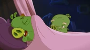 Sleep Like a Hog | Angry Birds Wiki | Fandom