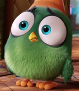 Timothy/Gallery | Angry Birds Wiki | Fandom