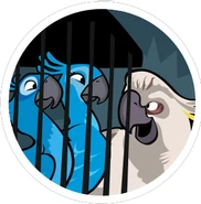 Nigel/Gallery | Angry Birds Wiki | Fandom