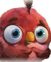 Sam | Angry Birds Wiki | Fandom