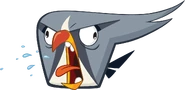 Silver/Gallery | Angry Birds Wiki | Fandom