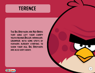 Terence | Angry Birds Wiki | Fandom