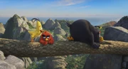 The Angry Birds Movie | Angry Birds Wiki | Fandom