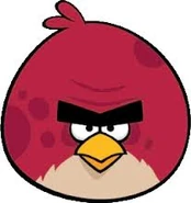 Terence | Angry Birds Wiki | Fandom