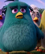 Edward (Movie)/Gallery | Angry Birds Wiki | Fandom