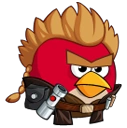 Anakin Skywalker Jedi Padawan Bird