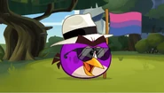 Birdsona Creator | Angry Birds Wiki | Fandom