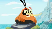 The Angry Birds Movie - Hal and Bubbles | Angry Birds Wiki | Fandom