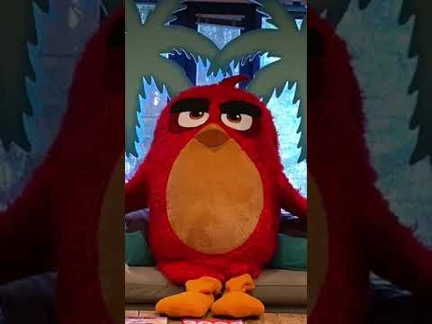 YouTube Shorts/Videos | Angry Birds Wiki | Fandom