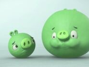 Puffed Up | Angry Birds Wiki | Fandom