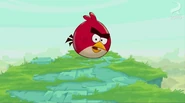Chuck Time | Angry Birds Wiki | Fandom