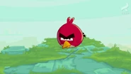 Chuck Time | Angry Birds Wiki | Fandom