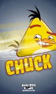 Chuck Time | Angry Birds Wiki | Fandom