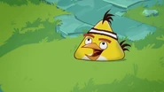 Chuck Time | Angry Birds Wiki | Fandom