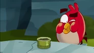 Cordon Bleugh! | Angry Birds Wiki | Fandom