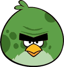 Angry Birds Green Bird Space