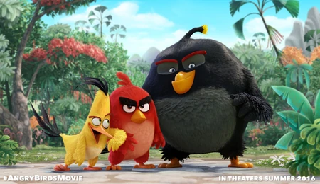 Блоги сайта Angry Birds/Lights, camera, SQUAWK! | Angry Birds Wiki | Fandom