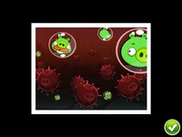 Danger Zone | Angry Birds Wiki | Fandom