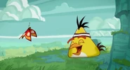 Chuck Time | Angry Birds Wiki | Fandom