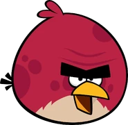 Terence | Angry Birds Wiki | Fandom