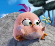 Zoe/Galería | Angry Birds Wiki | Fandom