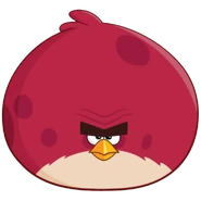 Terence | Angry Birds Wiki | Fandom