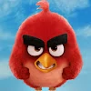 Angry Birds (YouTube Channel) | Angry Birds Wiki | Fandom