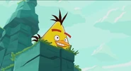 Chuck Time | Angry Birds Wiki | Fandom