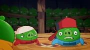 Pig Talent | Angry Birds Wiki | Fandom