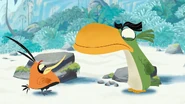 The Angry Birds Movie - Hal and Bubbles | Angry Birds Wiki | Fandom