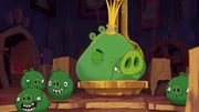 Pig Talent | Angry Birds Wiki | Fandom
