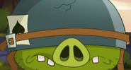 Not Without my Helmet | Angry Birds Wiki | Fandom