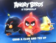 Angry Birds at Topgolf | Angry Birds Wiki | Fandom