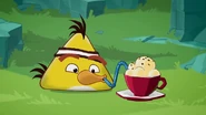 Chuck Time | Angry Birds Wiki | Fandom