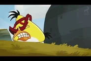 Chucked Out | Angry Birds Wiki | Fandom