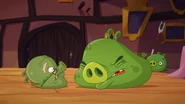 Sleep Like a Hog | Angry Birds Wiki | Fandom