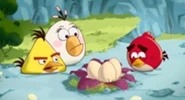 Egg Sounds | Angry Birds Wiki | Fandom