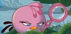 Pink Bird Angry Birds