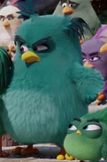 Edward (Movie)/Gallery | Angry Birds Wiki | Fandom
