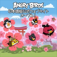 Angry Birds in Other Countries | Angry Birds Wiki | Fandom
