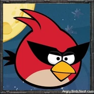 Super Red | Angry Birds Wiki | Fandom