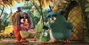 The Angry Birds Movie | Angry Birds Wiki | Fandom