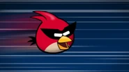 Super Red | Angry Birds Wiki | Fandom