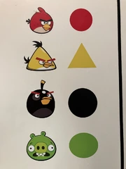 Bird (species) | Angry Birds Wiki | Fandom