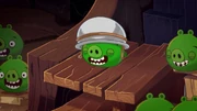 Pig Talent | Angry Birds Wiki | Fandom