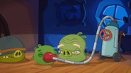 Sleep Like a Hog | Angry Birds Wiki | Fandom