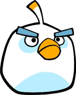Ice Bird | Angry Birds Wiki | Fandom