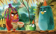 Bird Village | Angry Birds Wiki | Fandom